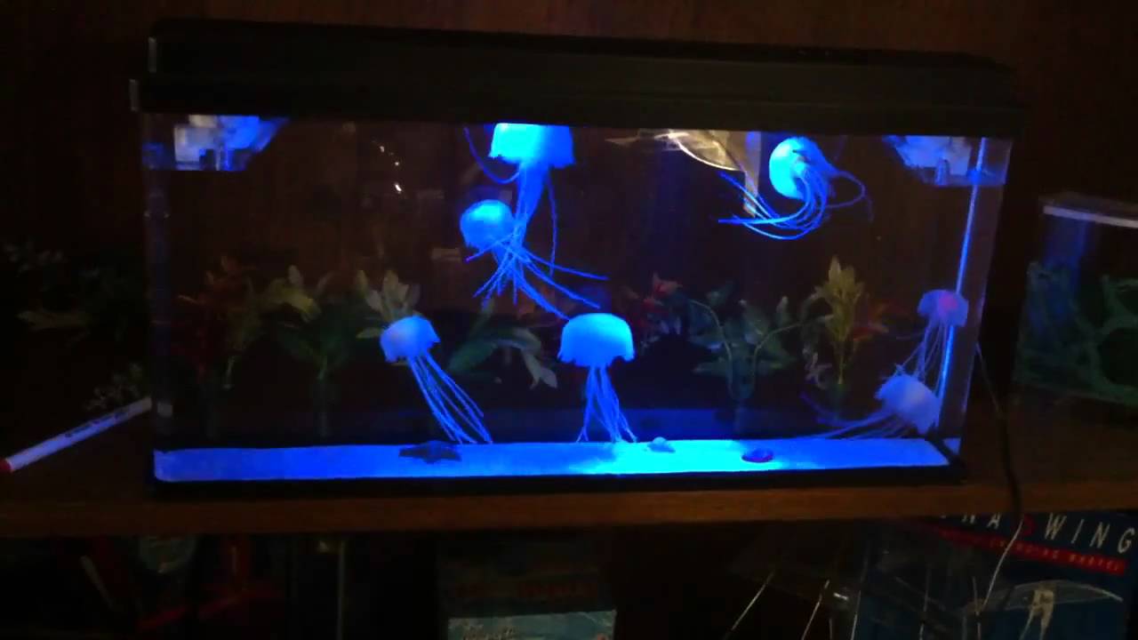 New Deluxe Magic JellyFish - YouTube