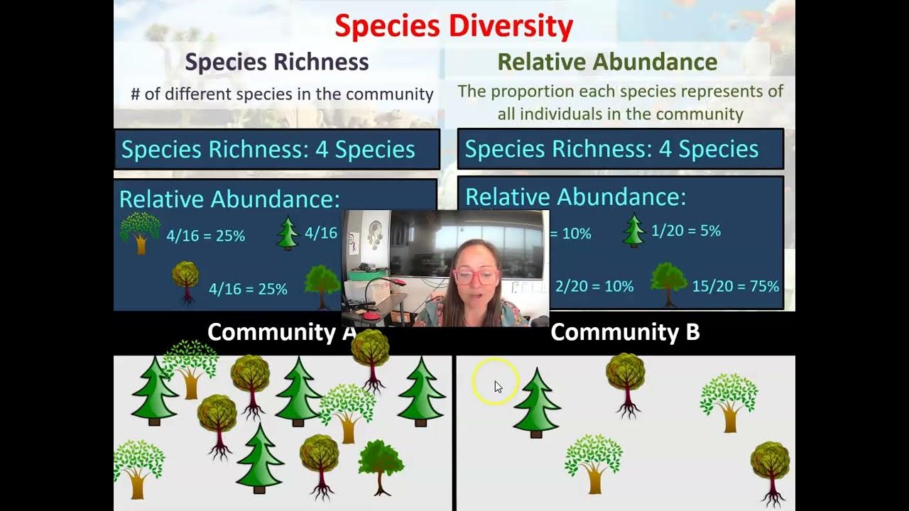 AP Biology Topic 8.5 Community Ecology Part 3: Simpson's Diversity ...