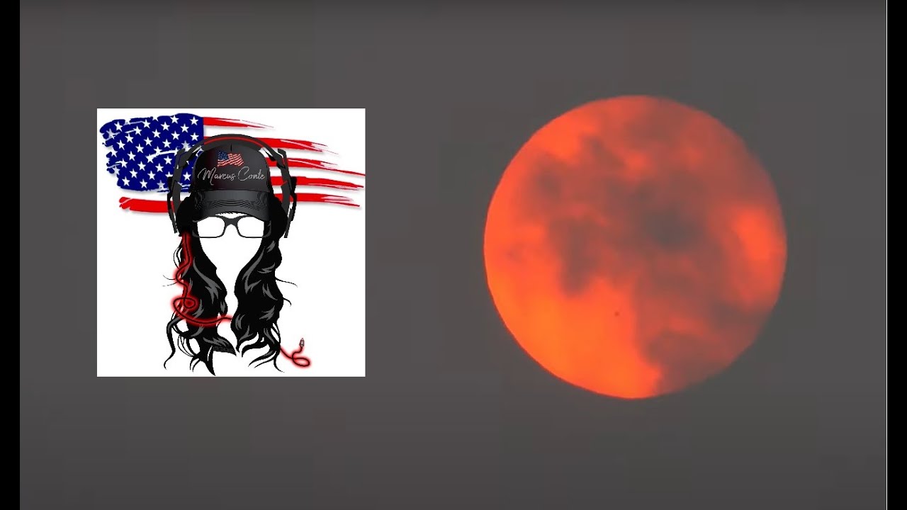 Apocalyptic smoke filled skies, super-predator teens, RFK jr Williamson ...