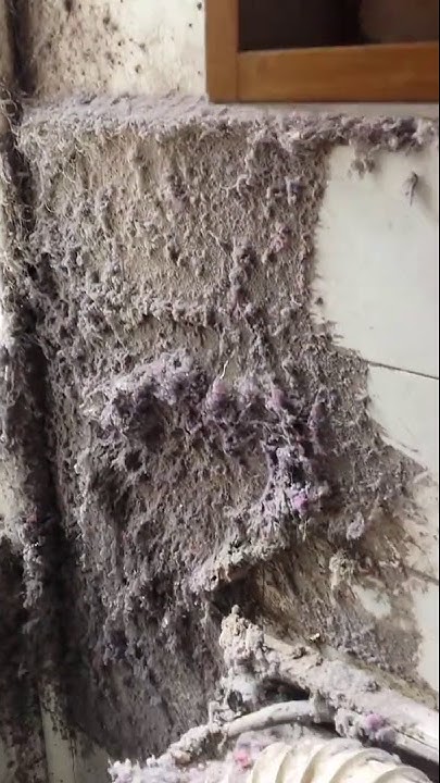 Laundry Room With Very Bad Lint Problem - YouTube