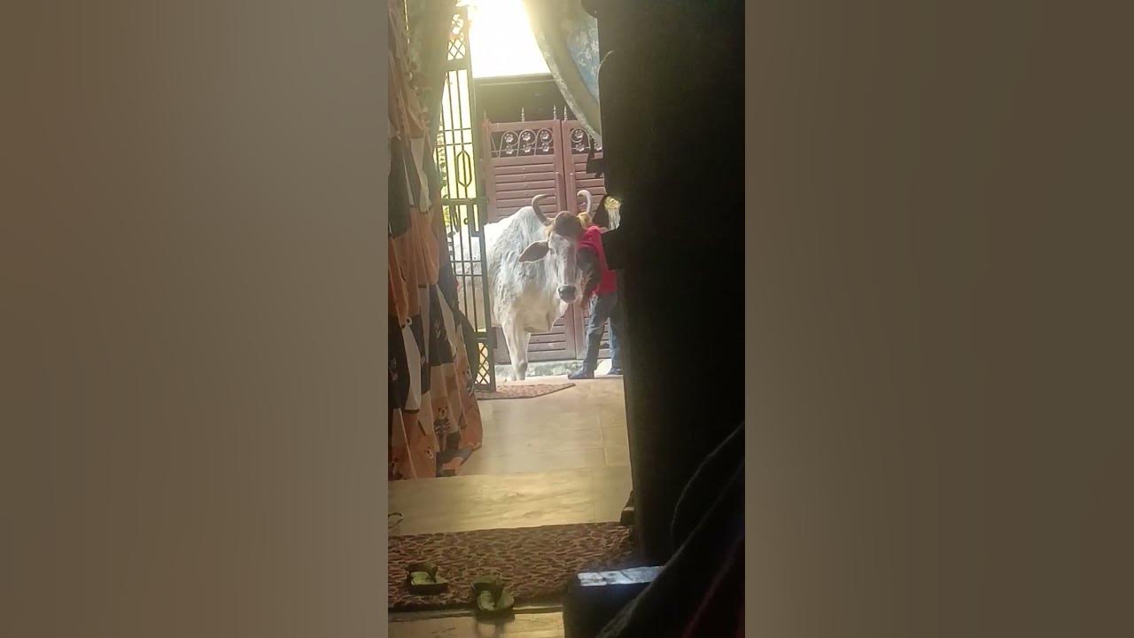 Yha vha hai jagdambe maa 🙏🙏 - YouTube