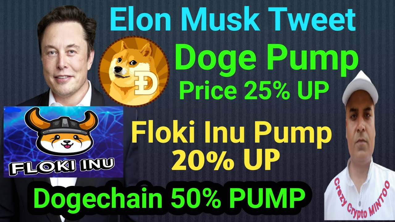 Dogecoin, Flokiinu, Dogechain PUMP || Elon Musk ने ट्वीट किया Doge's ...