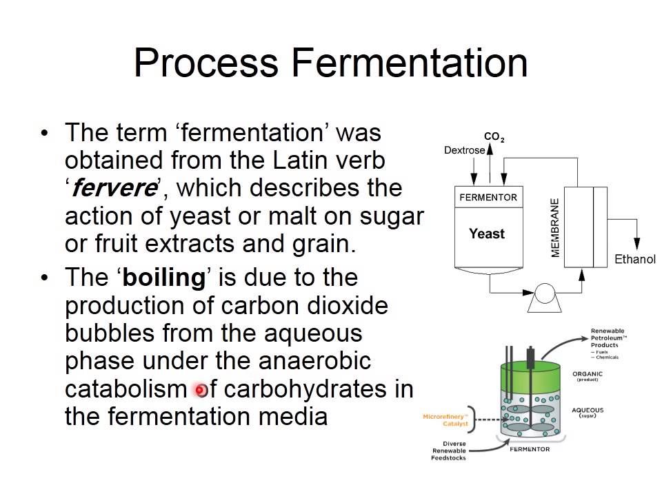 BioChemical Engineering Lecture 1 - YouTube