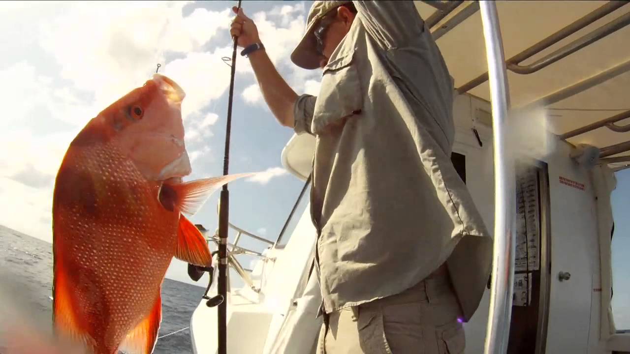 Noosa Fishing - YouTube
