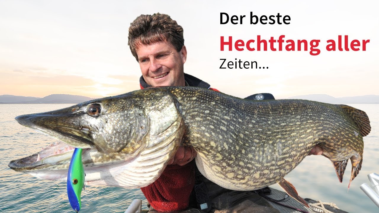 Riesenhechte Angeln - der beste Hechtfang aller Zeiten? - YouTube