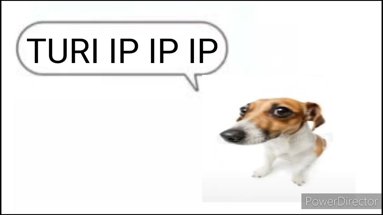 TURI IP IP IP Meme #1 | Homemade - YouTube