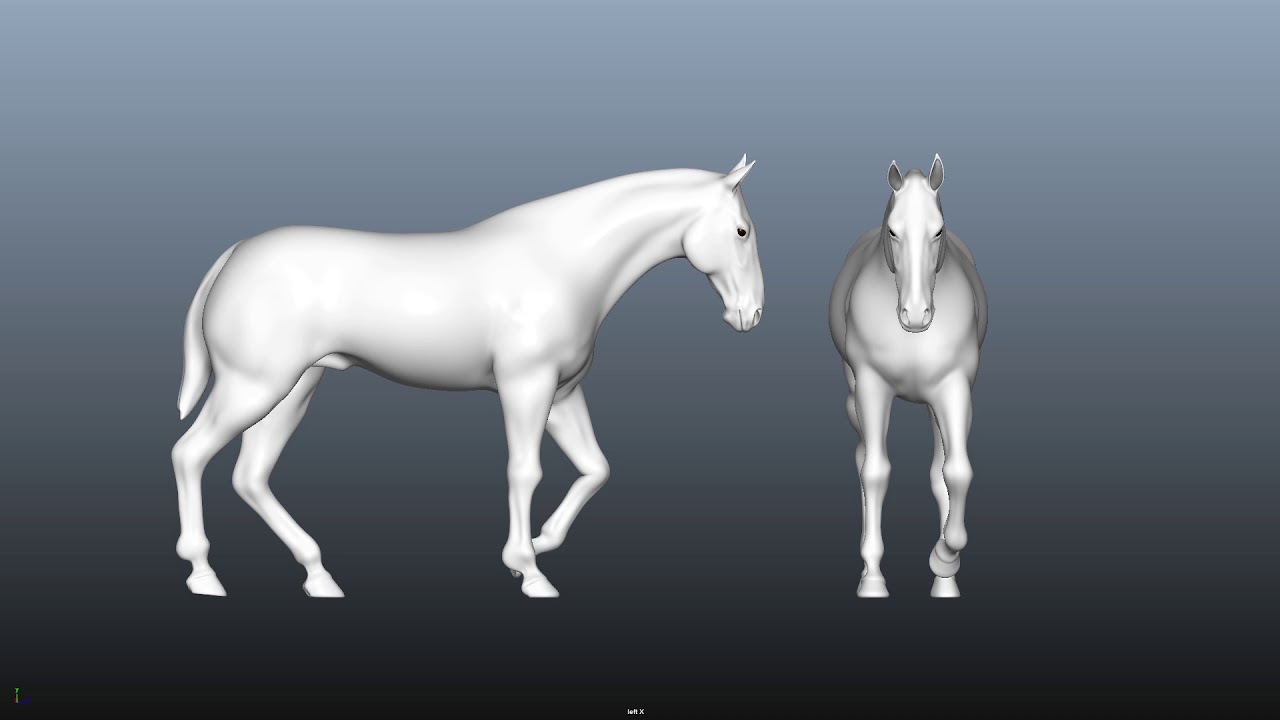 horse walkcycle - YouTube