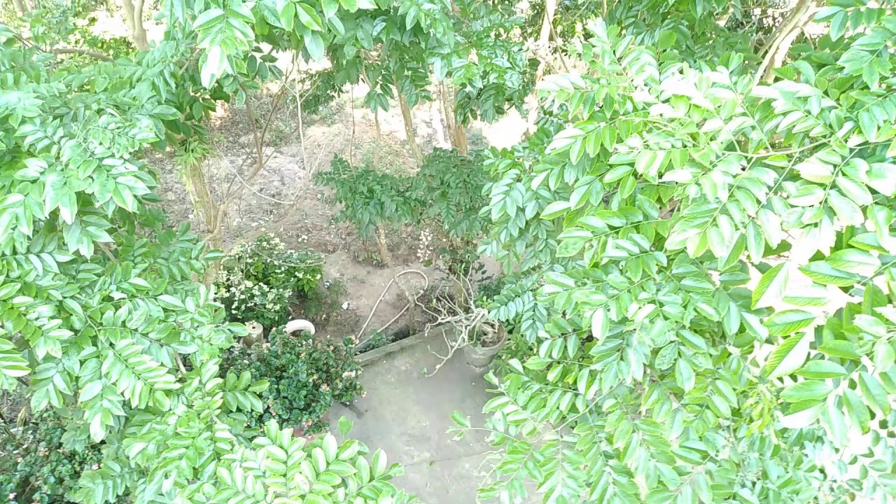 Hay video - YouTube