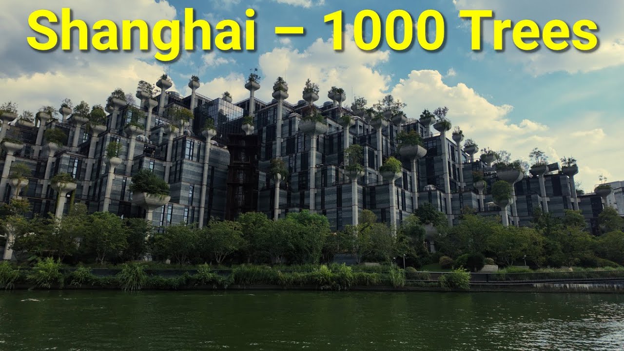 2025-08-24 Shanghai, 1000 Trees - YouTube