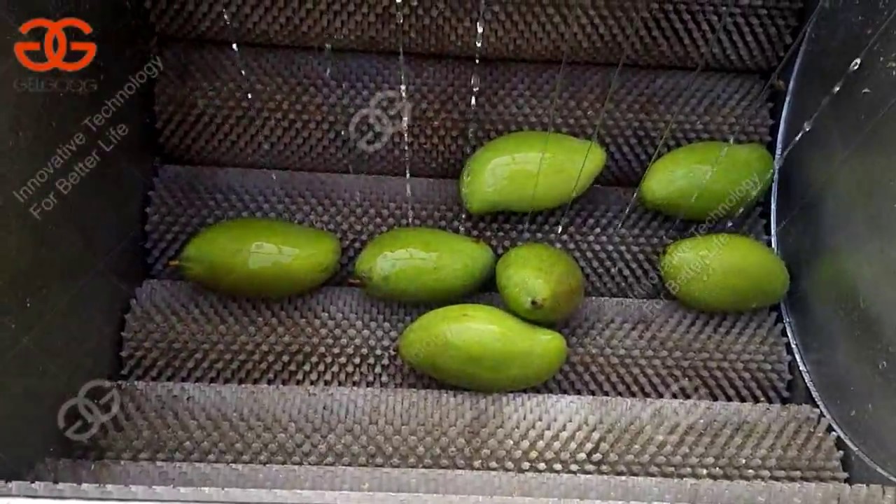 small model mango washing machine|mango cleaning machine|mango process ...