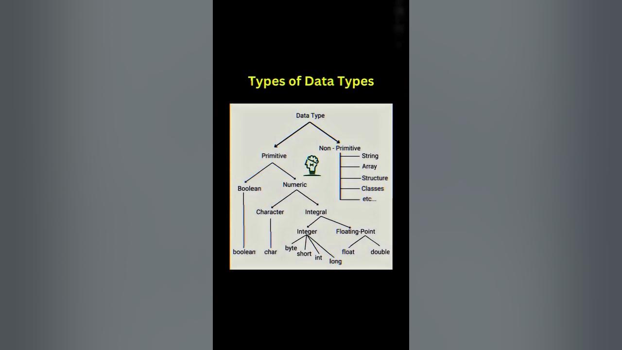 Types Of Data Types 😧 Datatypes Dsa Coding Codingtutorial