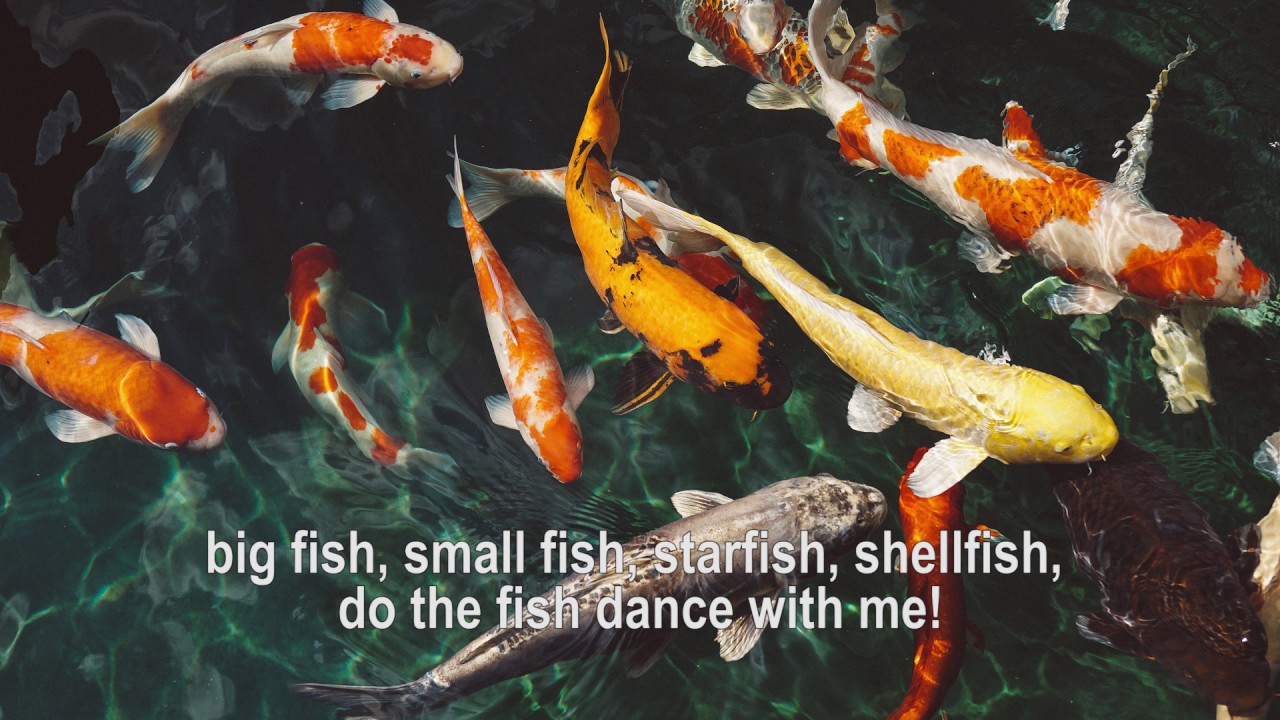 The Fish Dance - YouTube