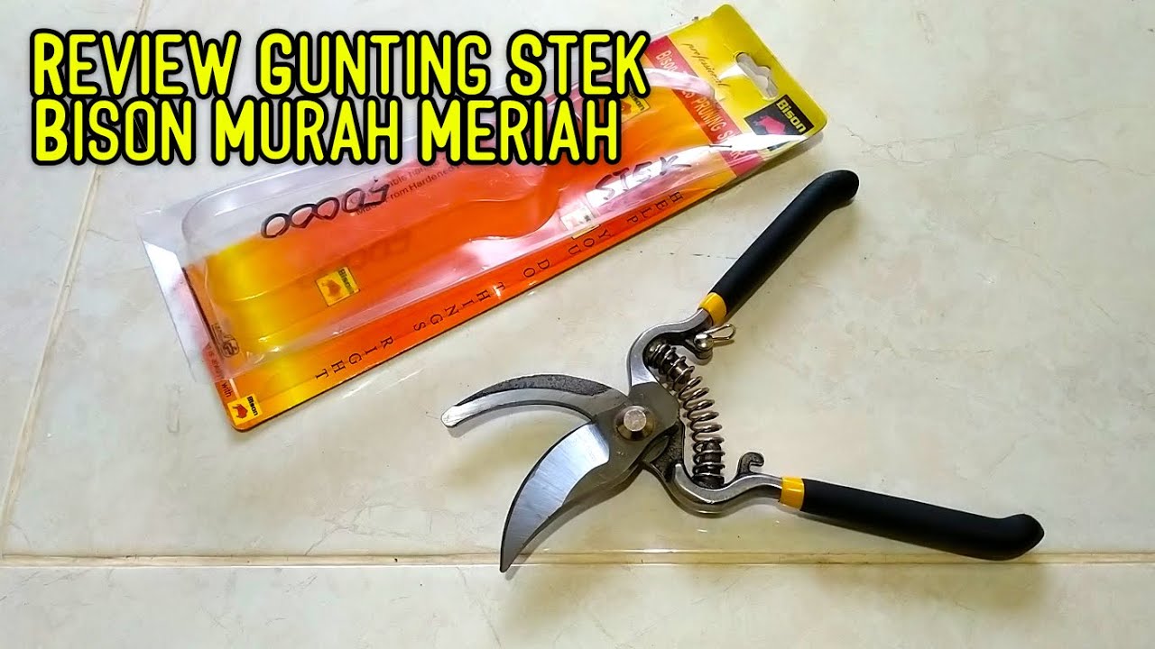 Bison Tools Pruning Shear. Review Gunting Stek Murah Professional - YouTube