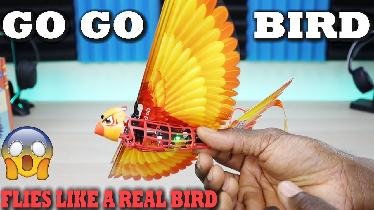 GO GO BIRD RC DRONE REVIEW | FLIES LIKE A REAL BIRD | WATCH ENTIRE ...