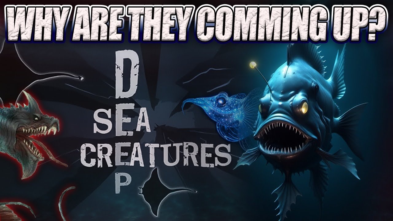 Deep-Sea Creatures Are Rising! Is The Leviathan Real? - YouTube