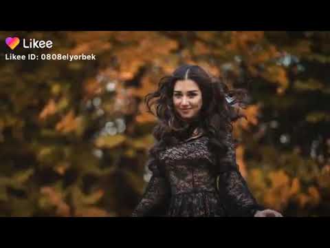 Dilsoz Men seni sogindim