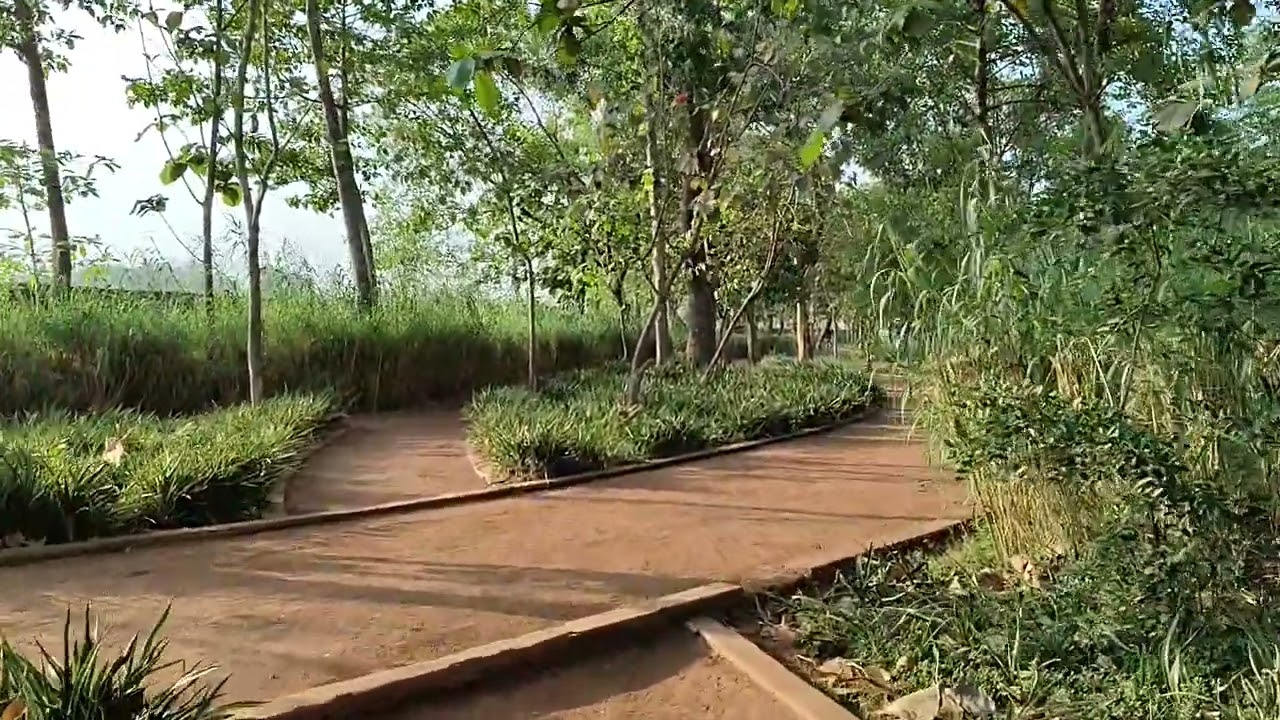 FullHD 1080p 30fps (main camera) - OnePlus Nord CE4 video sample