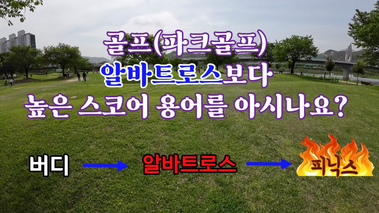 파크골프골프 스코어 용어 상세히 설명 버디 이글 알바트로스 콘도르 오스트리치 피닉스 Youtube