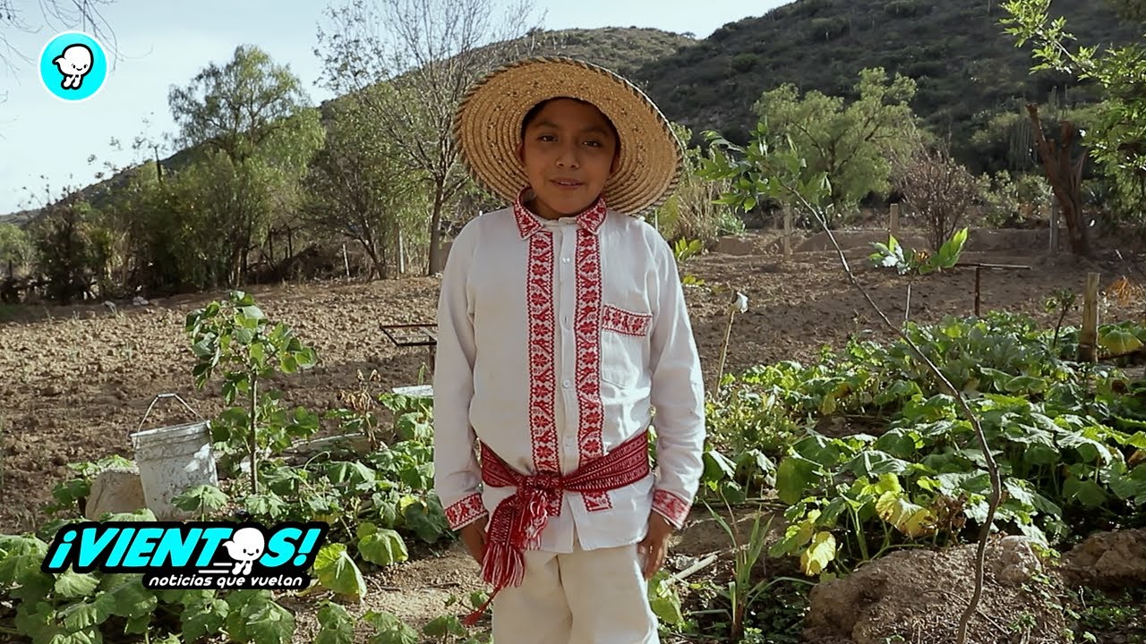 "El ixtle del Valle del Mezquital" - YouTube