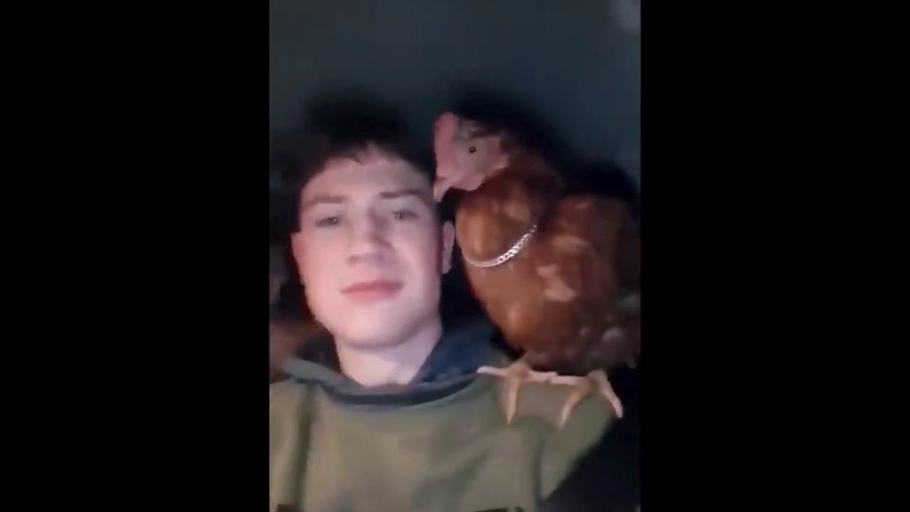 Best ABPV Videos - Episode 2 - YouTube