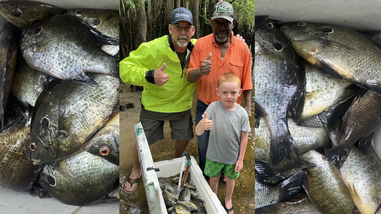 Top Swamp Fishing Expert Reveals Epic Catch - YouTube