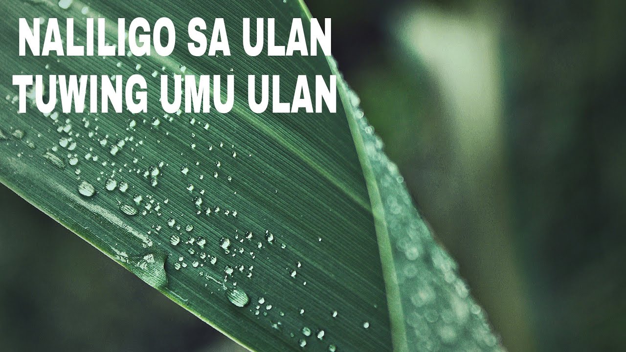 NALILIGO SA ULAN TUWING UMU ULAN - YouTube