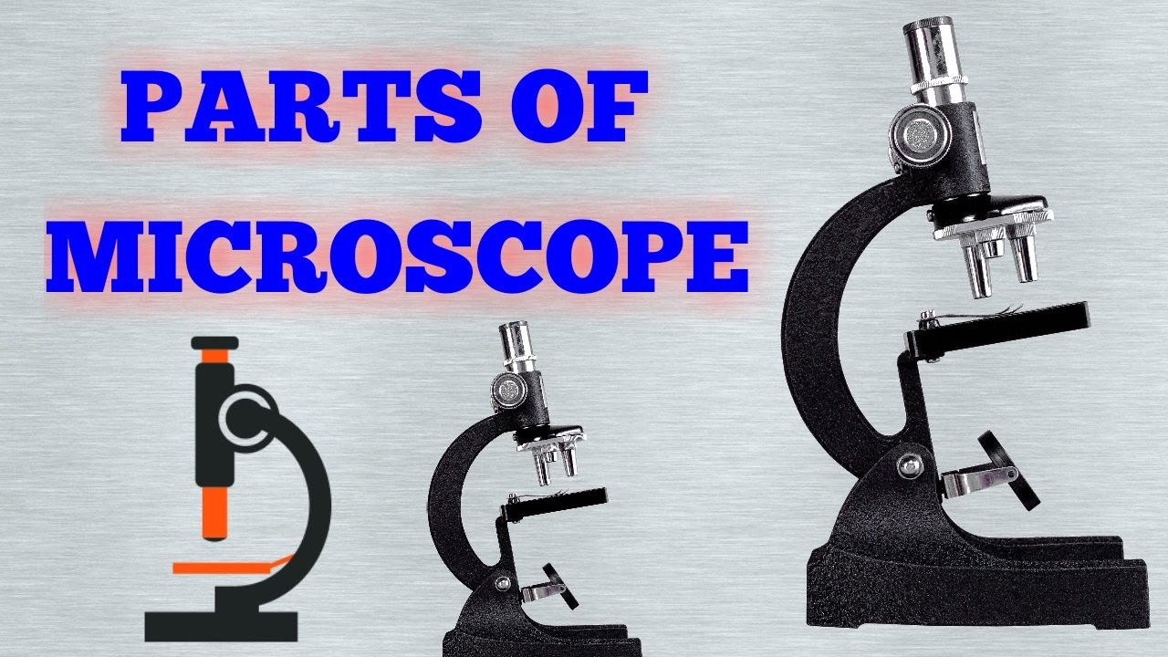 PARTS OF MICROSCOPE - YouTube