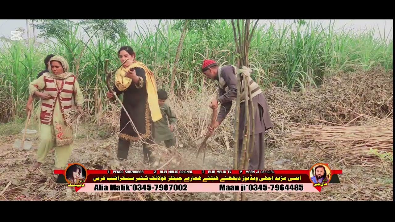 NEW VIDEO ALIYA MALIK AND MAAN JEE TEAM 2023 - YouTube