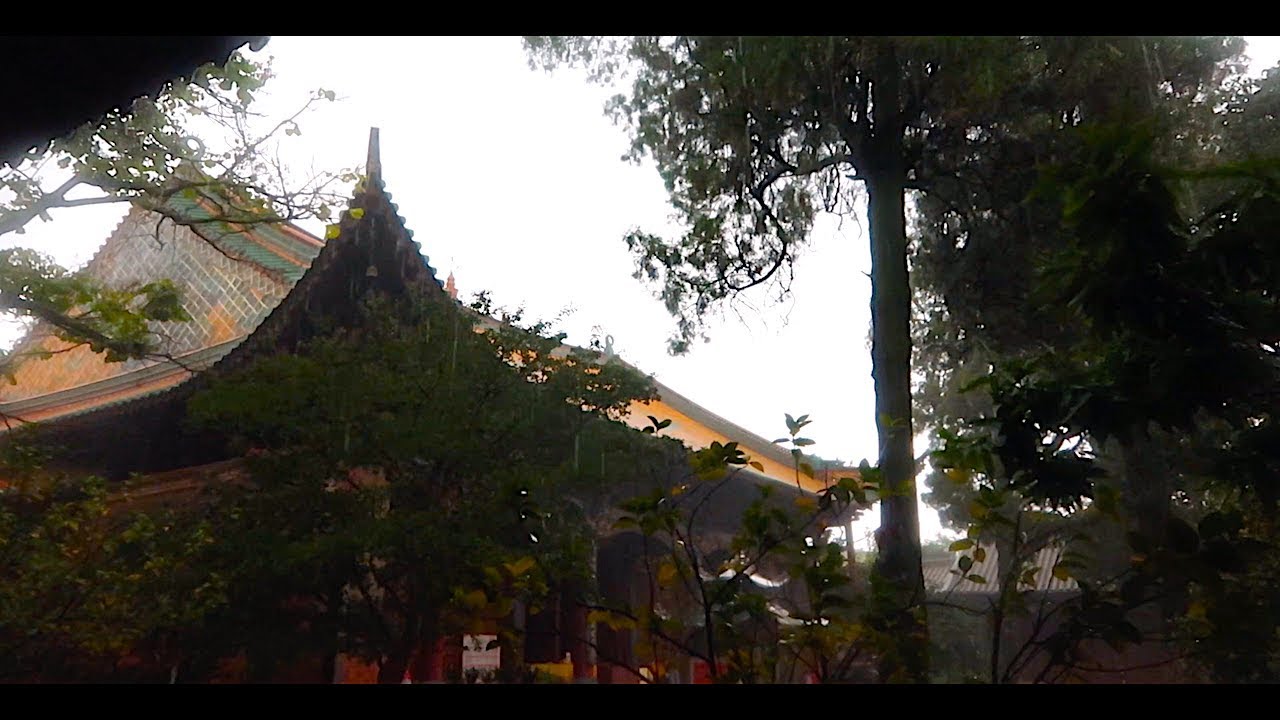 SHAOLIN TEMPLE: Rain in a Buddhist Temple | Kunming China (FULL HD ...