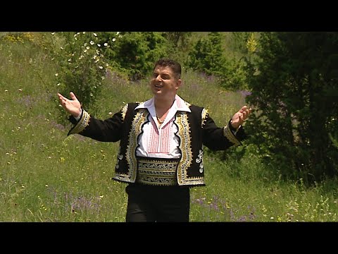 NIKOLAY SLAVEEV - LISTNI SA GORO / Николай Славеев - Листни са, горо I Official video 2008