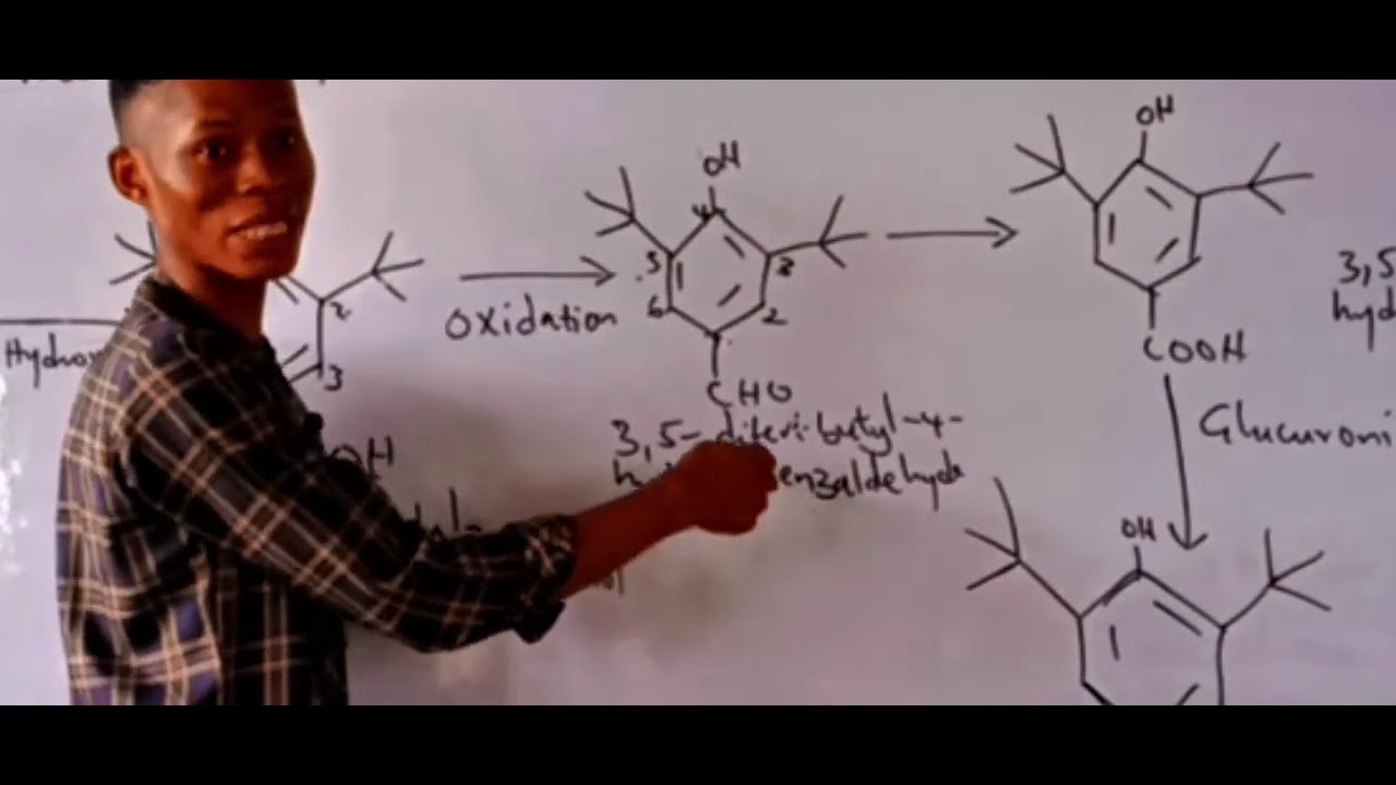 Biotransformation of Butylated Hydroxy Toluene || Well Explained - YouTube