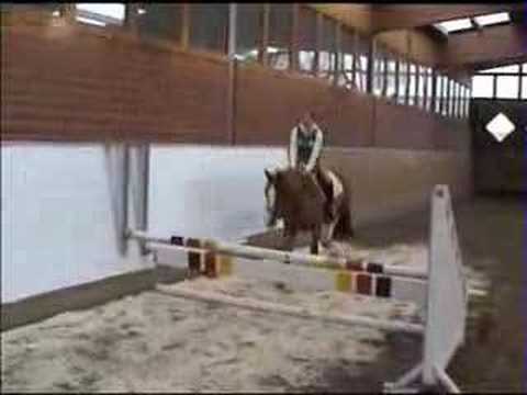 HorseBase Video (www.horsebase.de) - YouTube