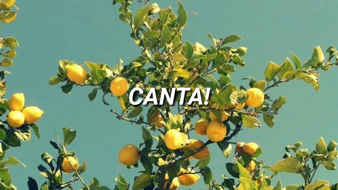 Lemon Tree-Fools Garden lyrics Español - YouTube