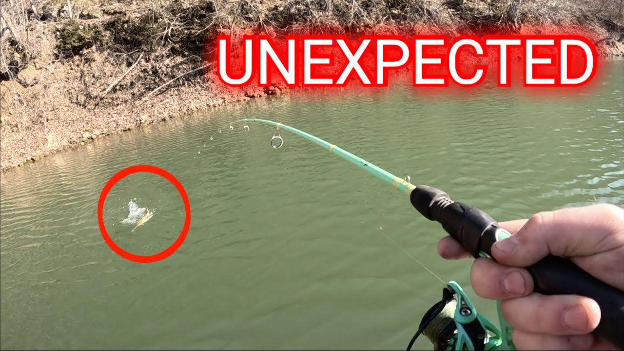 I Caught an UNEXPECTED FISH from a COLD RIVER!! - YouTube