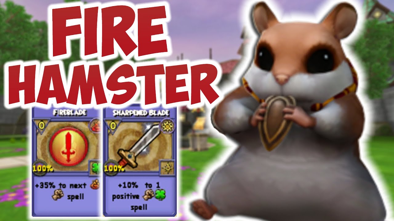 Wizard101: Trying to Make The BEST Fire Hamster Pet - YouTube