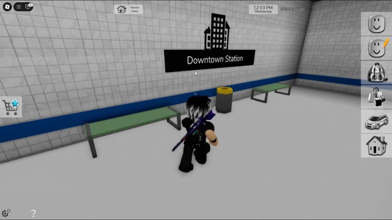 Brookhaven Subway's Hidden Room 2025! (Roblox Secret Location revealed ...