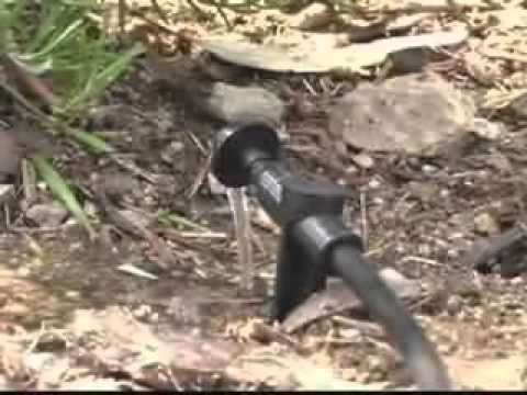 Rain Bird Drip Irrigation Tips - YouTube