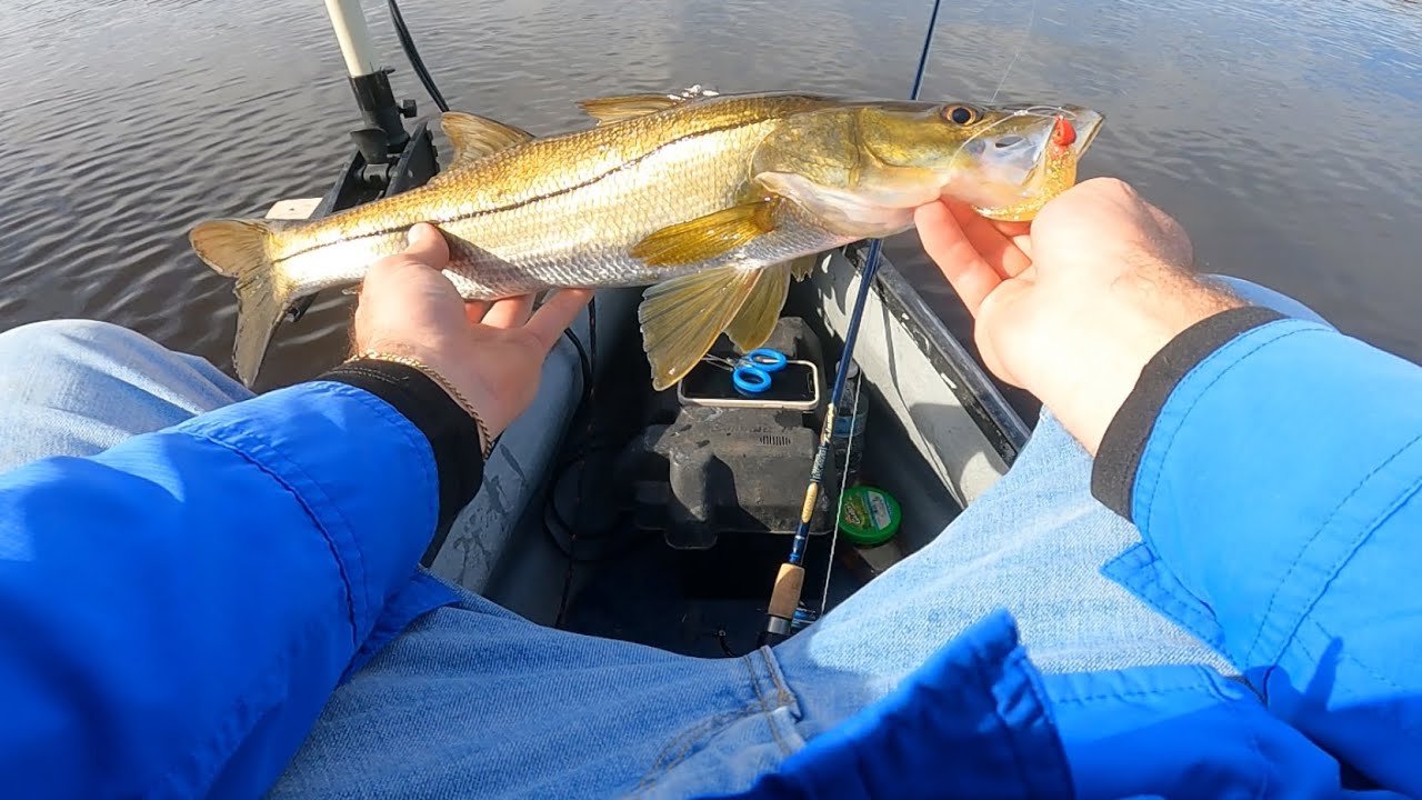Creek Snook - Flats Fishing - YouTube