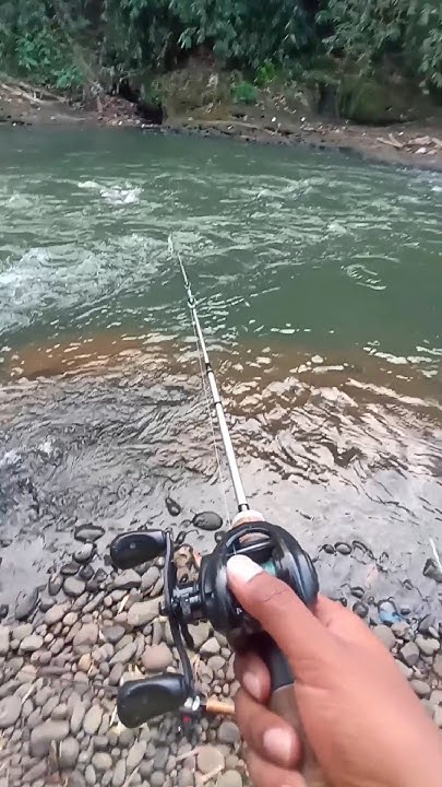 Suara Reel Abu Garcia Revo X rasa DC - YouTube