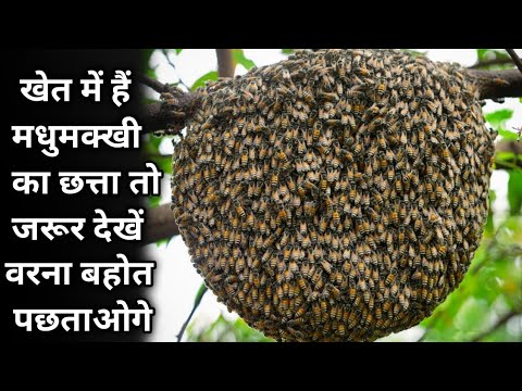 madhumakki - YouTube