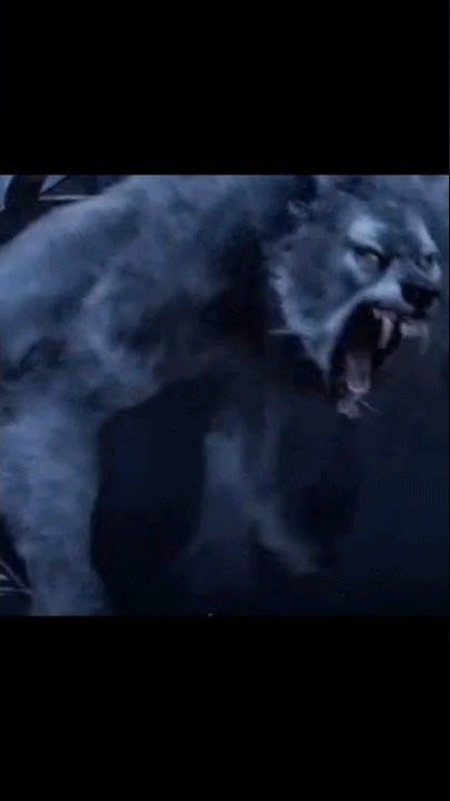 Lobisomem ataca cães em cidadezinha - YouTube