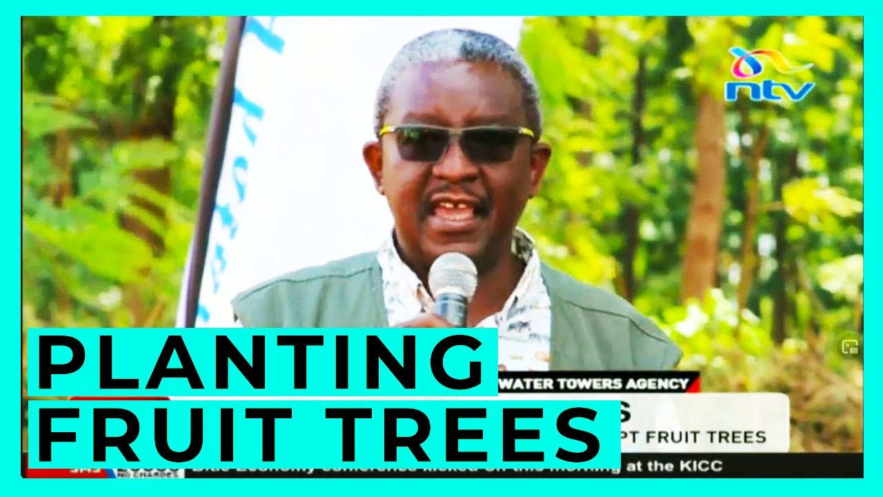 Dr Isaac Kalua’s insight to Kenyans to Plant more fruit trees - YouTube