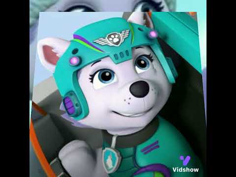 Tracker and Everest edit - YouTube