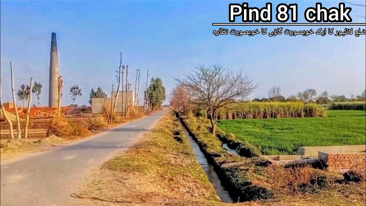 pind 81 chak || Punjab || Ali gujjar everything vlogs - YouTube