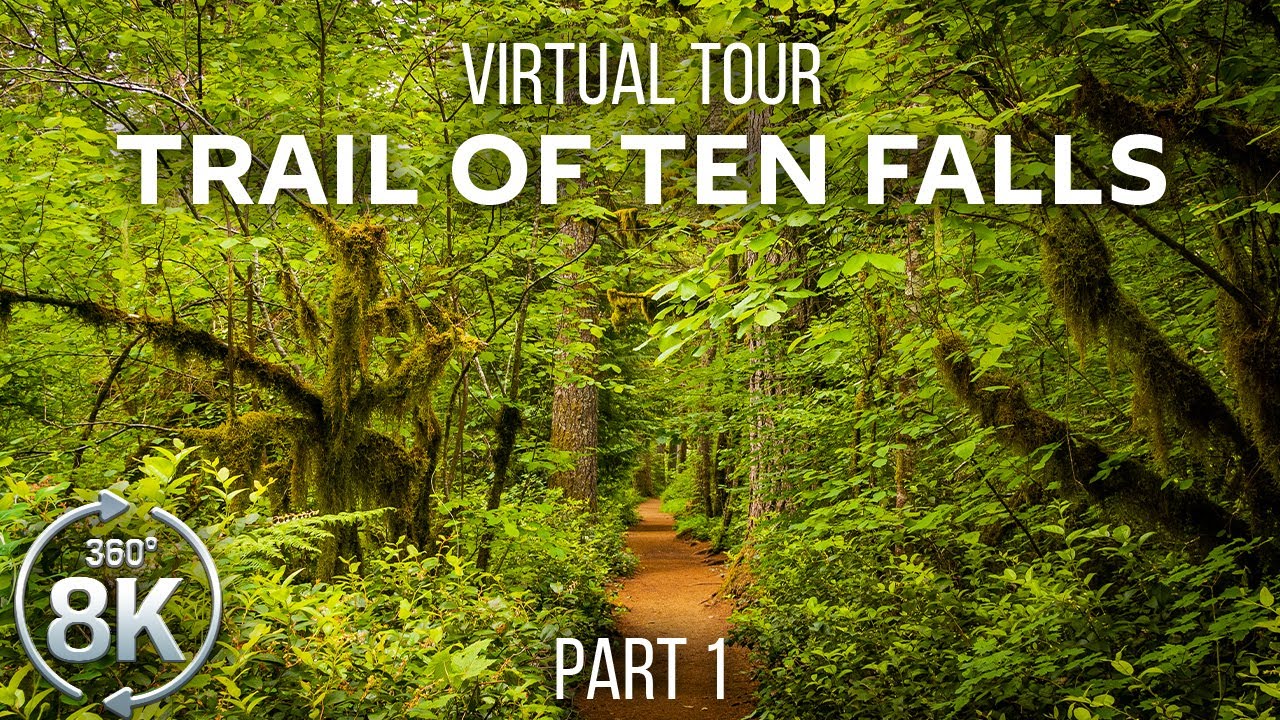 Virtual Hike 360° VR - Forest Walk along the Trail of Ten Falls - 8K ...