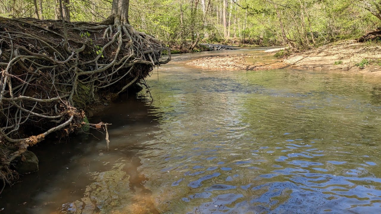Alum Park In The Spring Is Amazing & Access Is Easy - YouTube