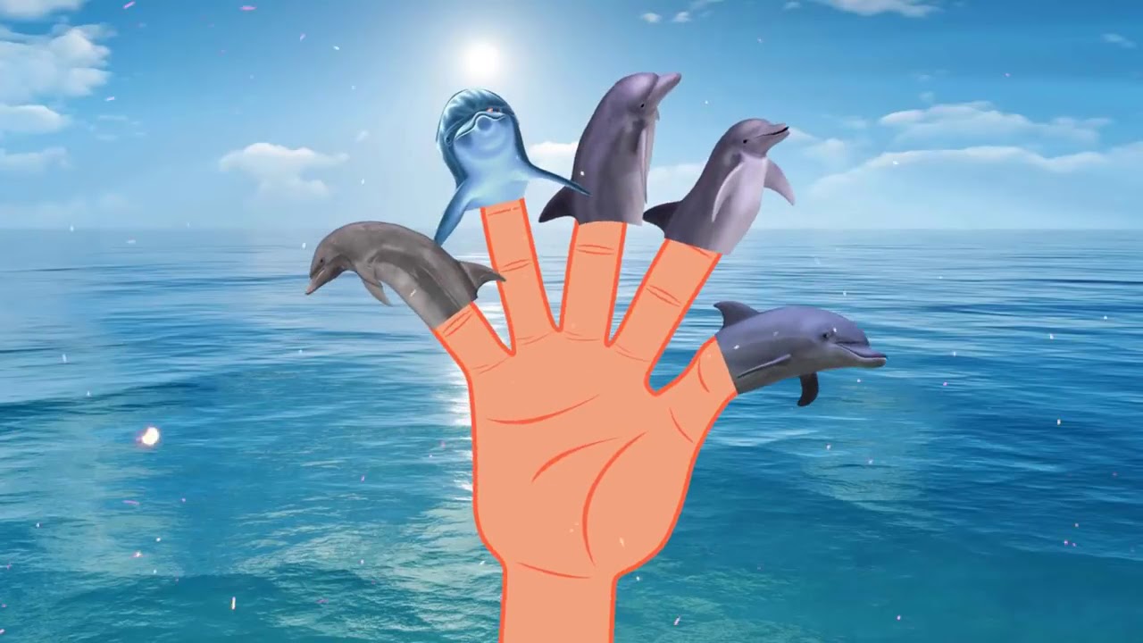 Finger Family Dolphin Family Nursery Rhyme | Sea Animal Finger Family ...