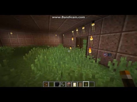 minecraft nawili 1 saxlis asheneba - YouTube