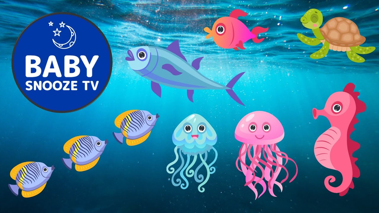 Soothing Fish Lullabies 🐟 | Relaxing Lullaby Mix by Baby Snooze TV ...