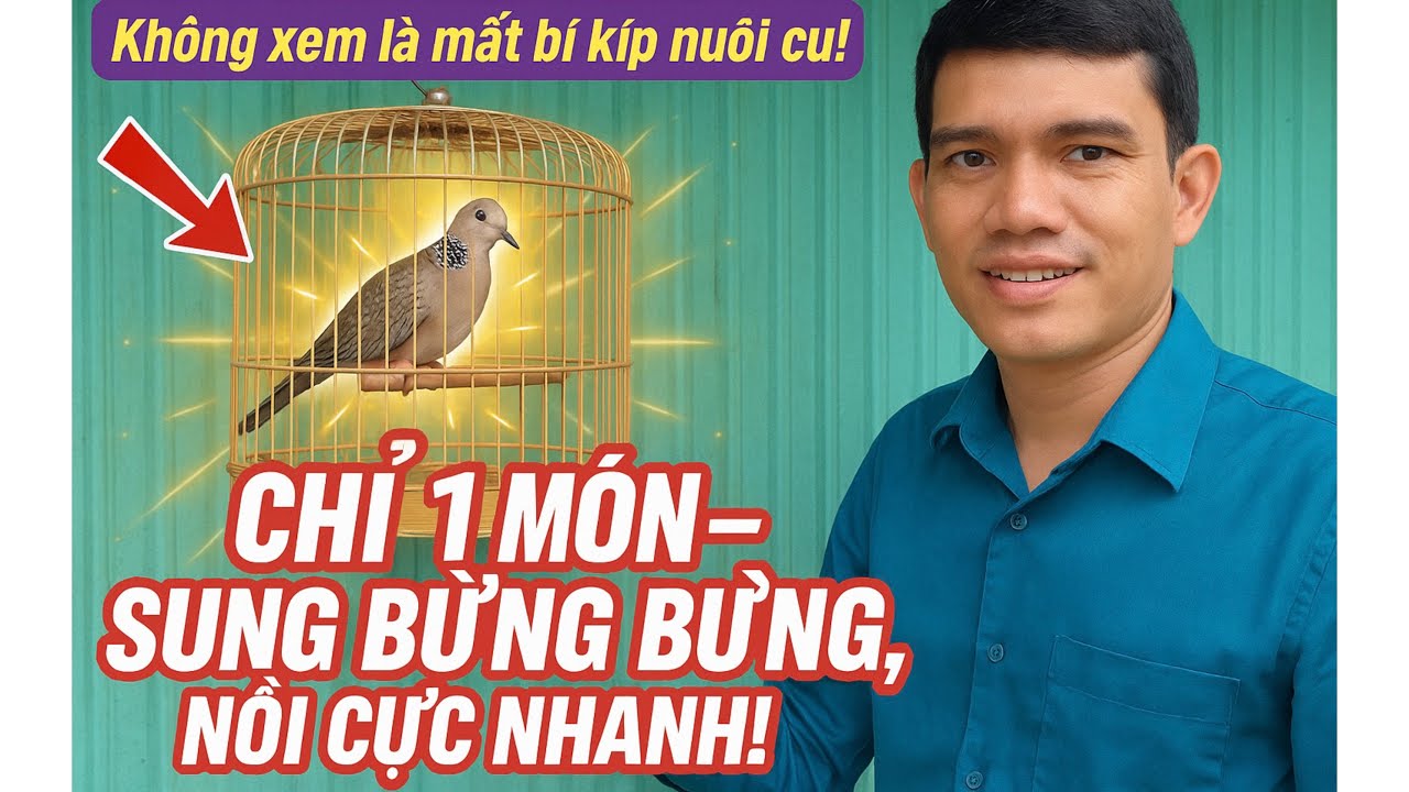 💥Cho Chim Cu Sung Và Nổi Nhanh -Chia Sẽ Kinh Nghiệm Thực Tế 🔥 - YouTube